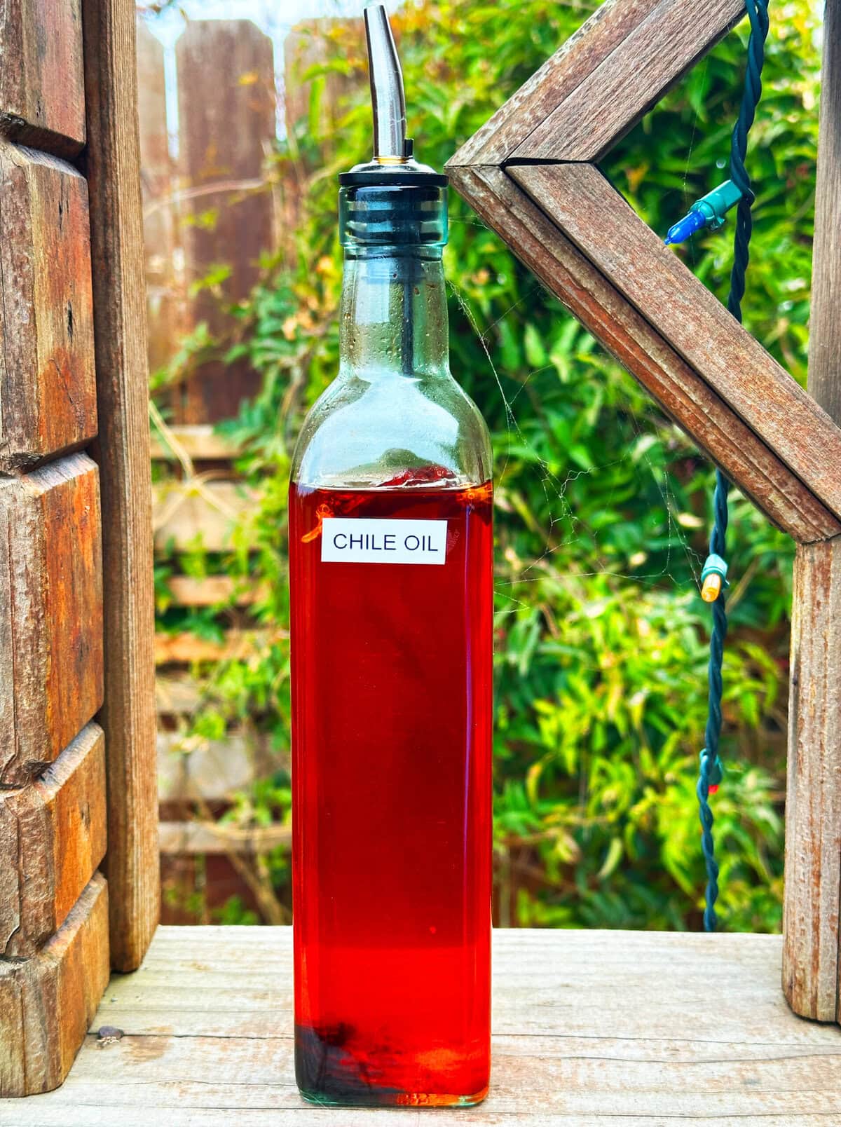 How To Make Homemade Chile Oil - 2 Cooks in the Kitchen