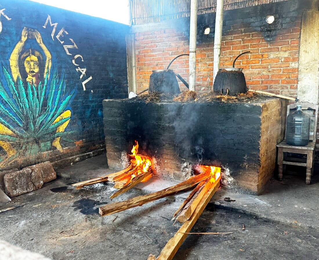 Touring the Mezcal Palenques of Oaxaca - 2 Cooks in the Kitchen